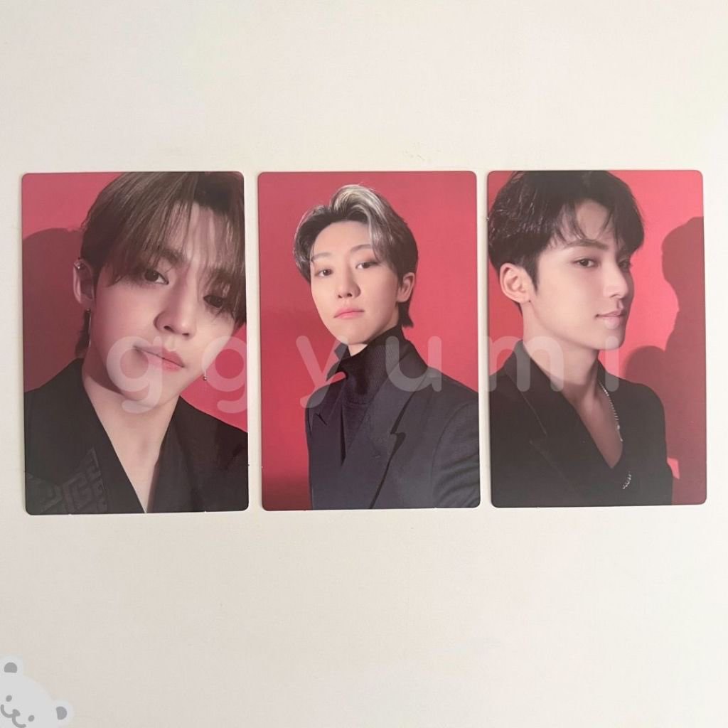 SEVENTEEN Power of Love Concert official merch - Trading Card Photocard ...