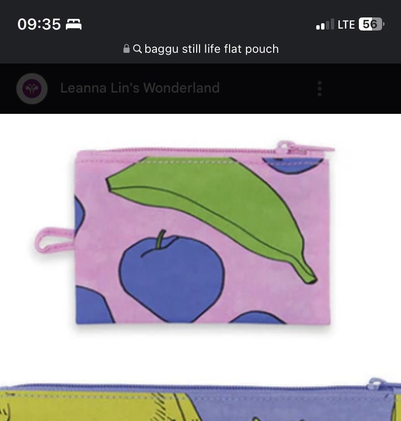 Baggu Still Life Pouch, Men's Fashion, Watches & Accessories, Wallets ...