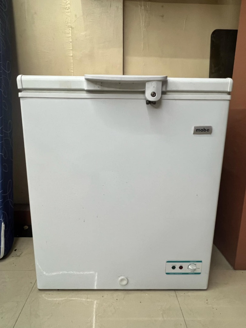 Chest Freezer (Dual Function can be Freezer or Refrigerator) 220V, TV ...