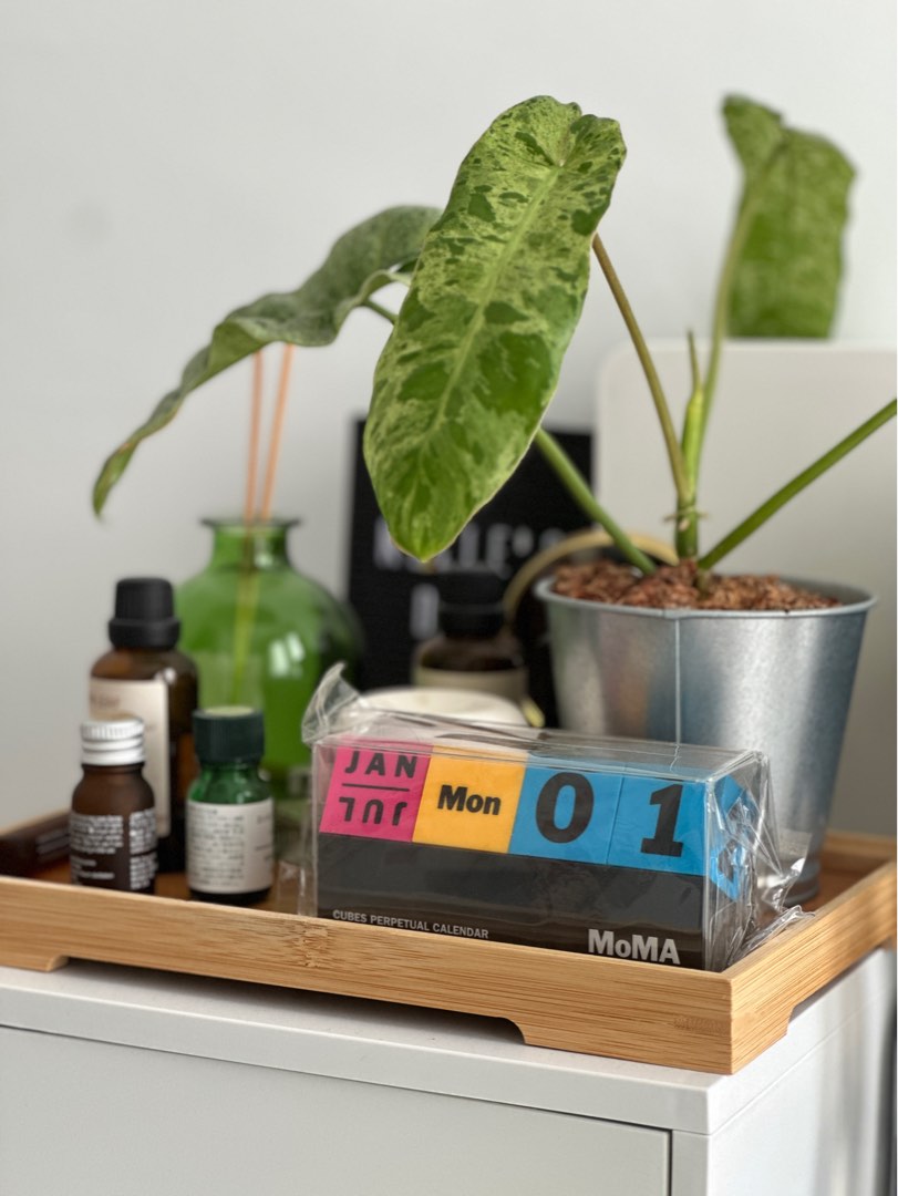 MoMA Calendar, Hobbies & Toys, Stationery & Craft, Art & Prints on ...