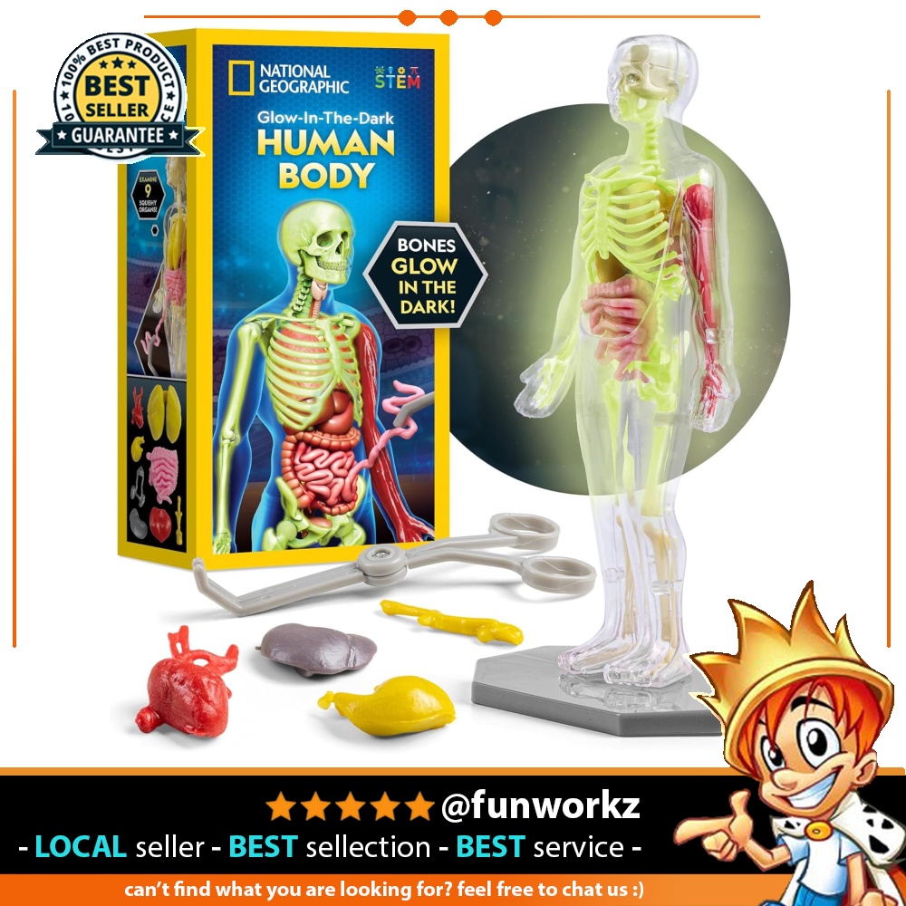 National Geographic Human Body Model for Kids That Glows in The Dark ...