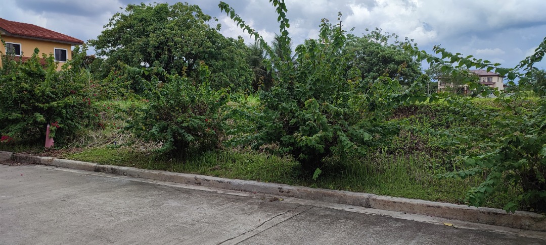 Ponderosa Leisure Farm Lot in Silang Cavite, Property, For Sale, Lot on ...