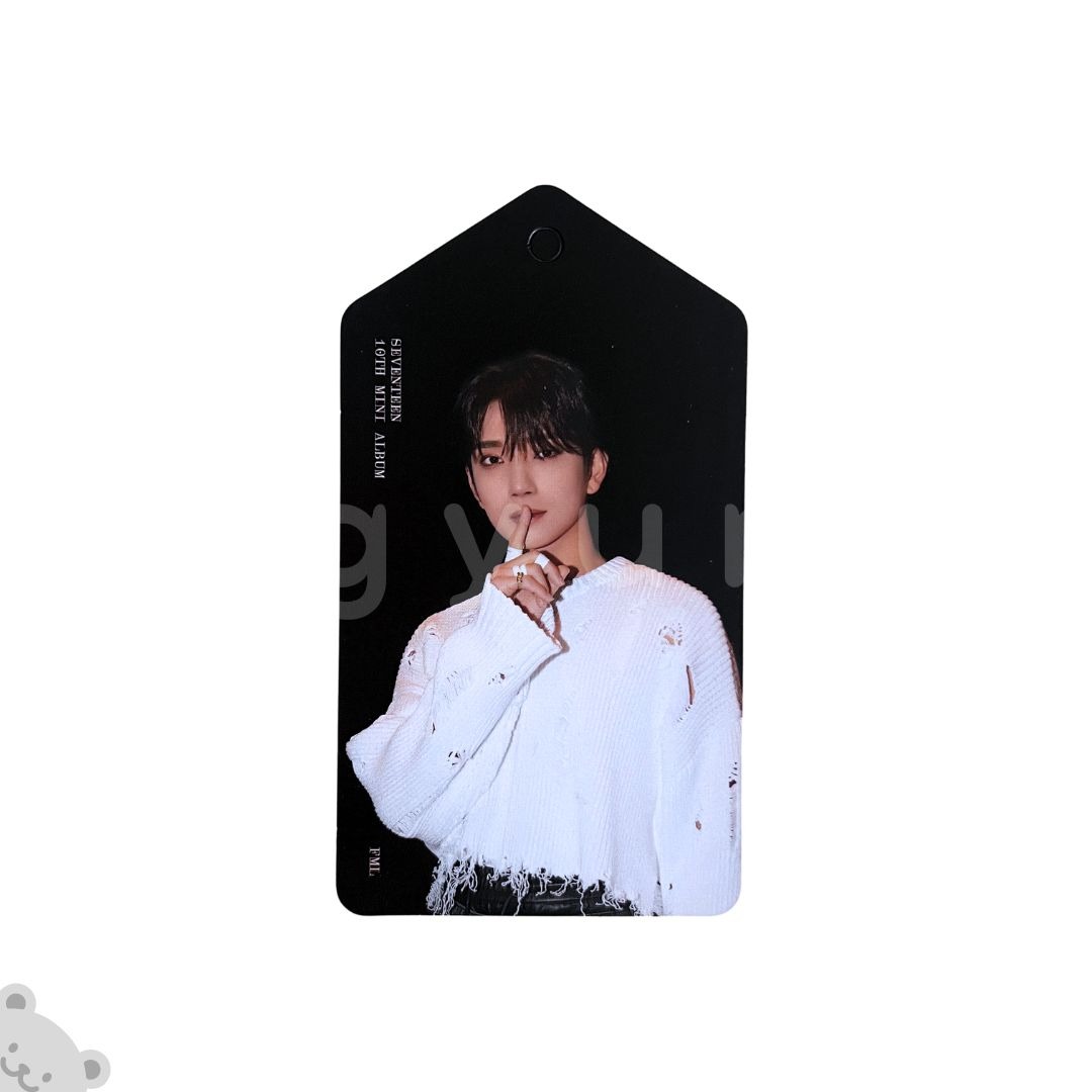 SEVENTEEN FML - Deluxe ver - Paper Tag - Joshua svt, Hobbies & Toys ...