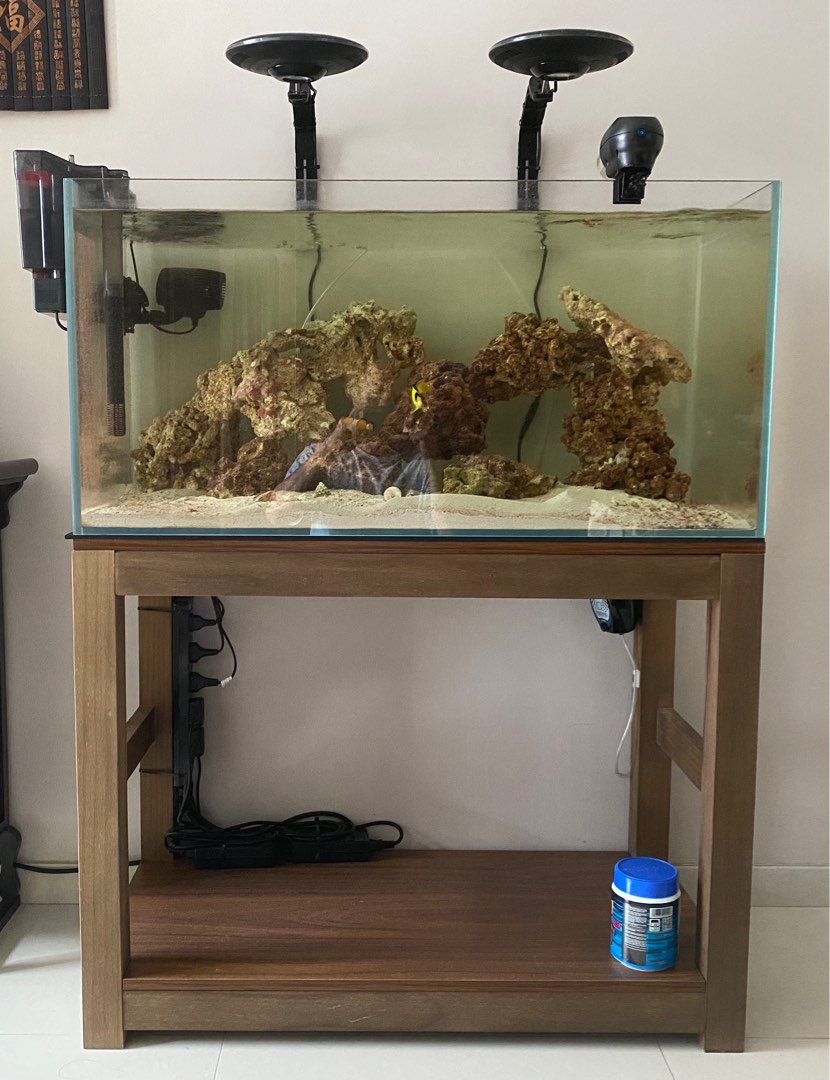 3 ft crystal glass fish tank with stand, Pet Supplies, Homes & Other ...