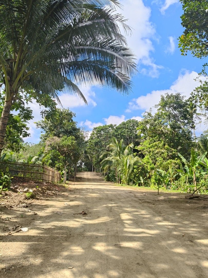 Dagatan Amadeo Farm Lot For Sale 200 sqm Good Ambience., Property, For ...