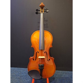 Omebo RV-205 Violin Standard (3/4 RV-207) Beginner Package, Hobbies ...
