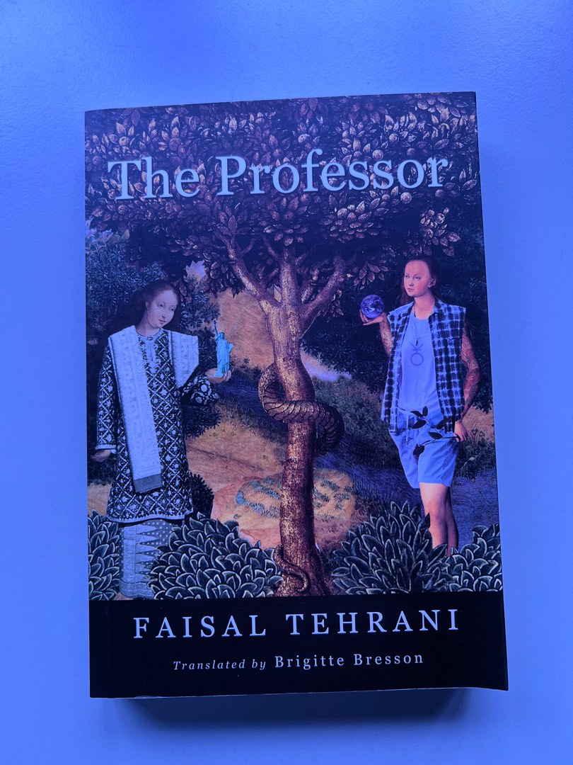 The Professor by Faisal Tehrani, Hobbies & Toys, Books & Magazines ...