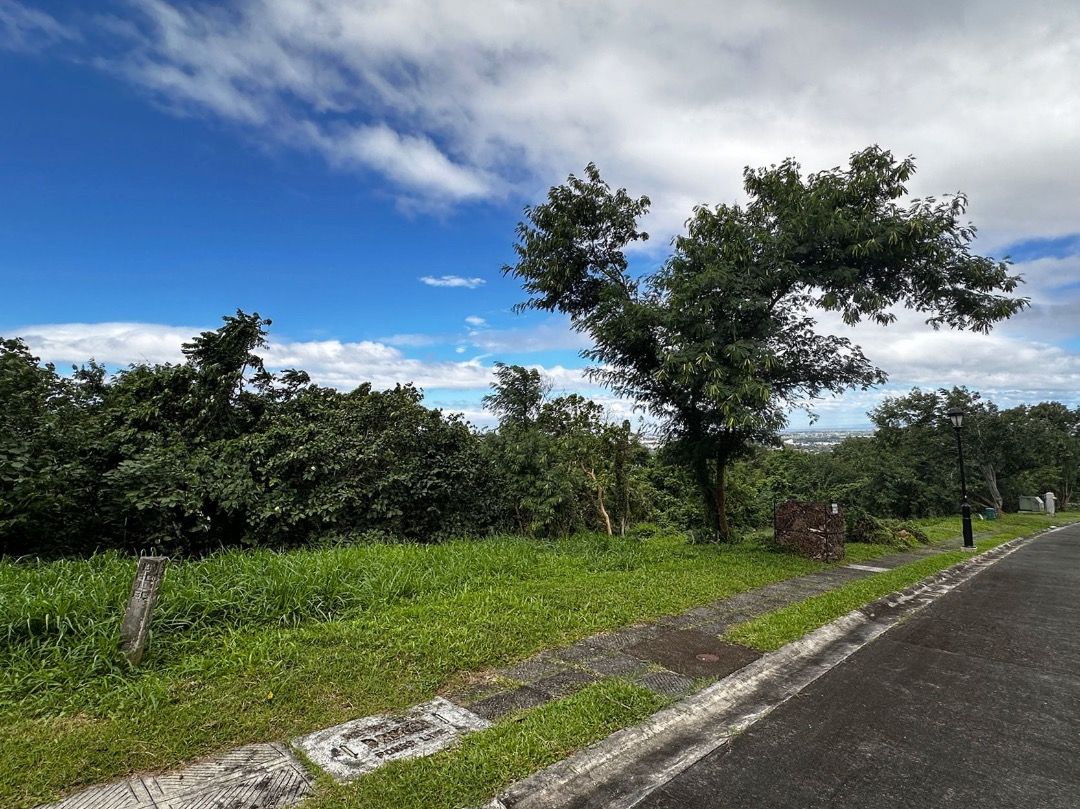 450 sqm. Single-loaded Lot for sale in Ayala Greenfield Estates ...