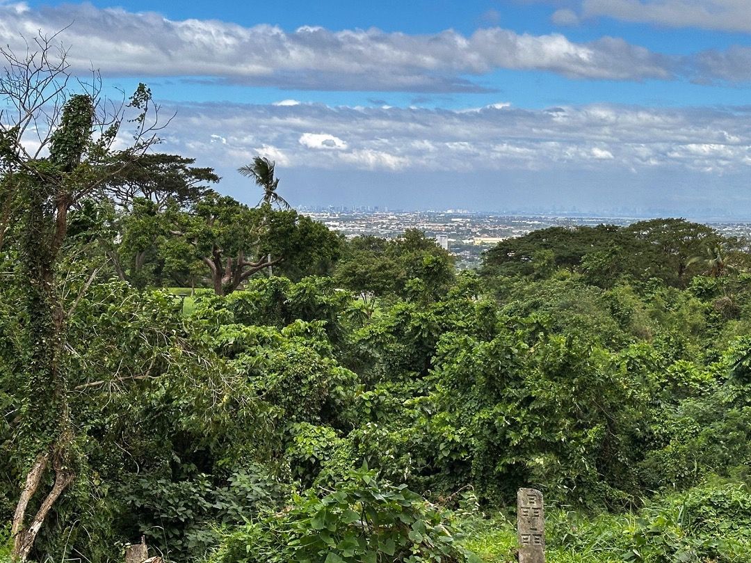 450 sqm. Single-loaded Lot for sale in Ayala Greenfield Estates ...