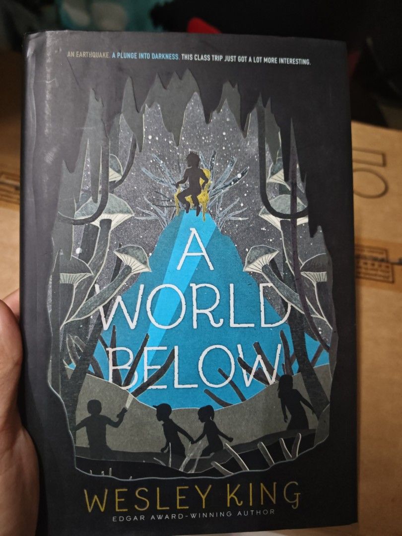 A world below by Wesley King, Hobbies & Toys, Books & Magazines, Comics & Manga on Carousell
