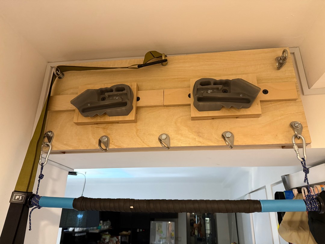Custom Rock Climbing Hangboard Setup with Trango Prodigy Pivot on Carousell