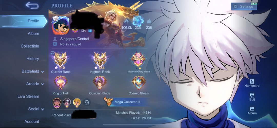 MLBB PRO PLAYER HIDE HISTORY ACC, Video Gaming, Gaming Accessories, In ...