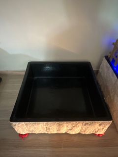 Oscar fish For Sale | Carousell Singapore