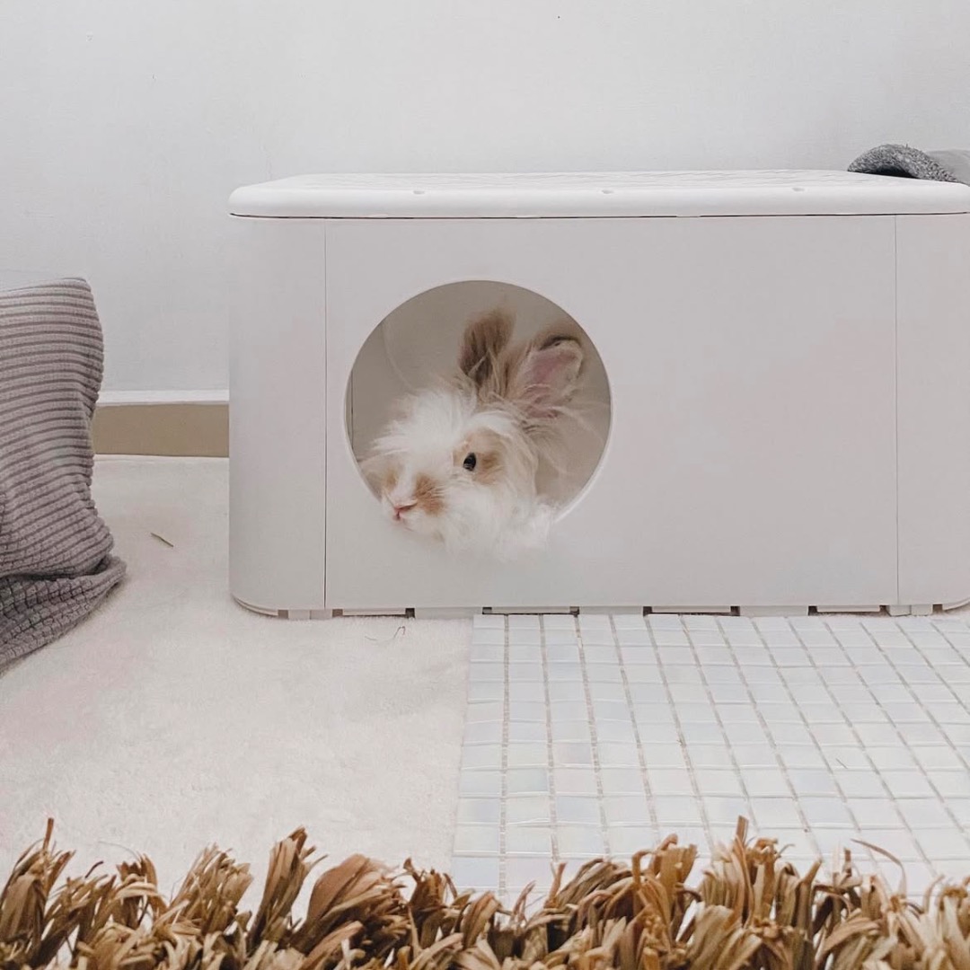 Rabbit / cat hideout (white colour), Pet Supplies, Homes & Other Pet ...