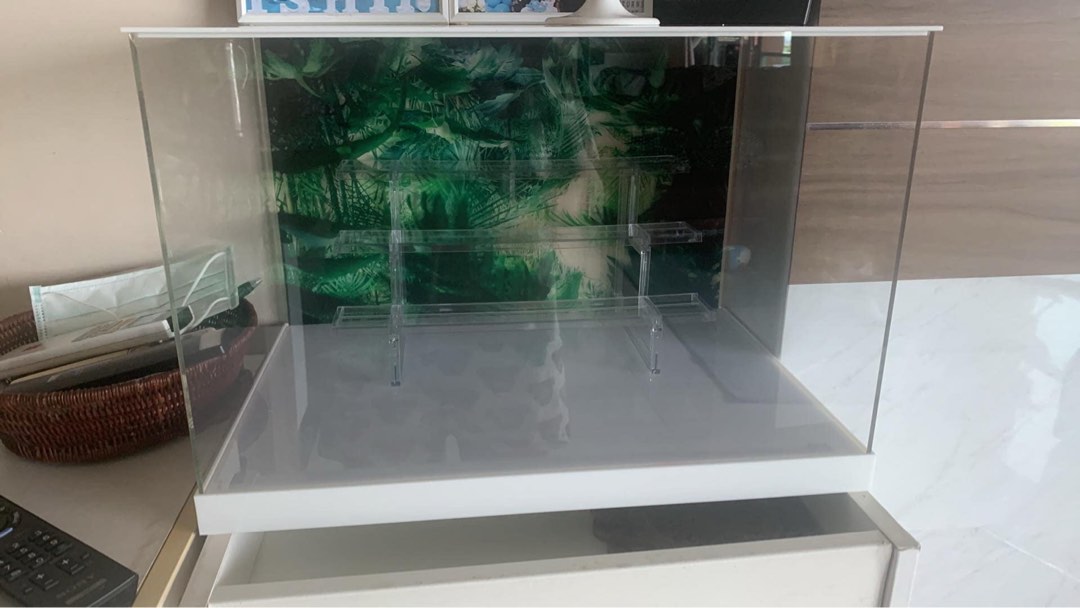 Pop mart/Fish tank/ Acrylic display box/ case, Pet Supplies, Homes ...
