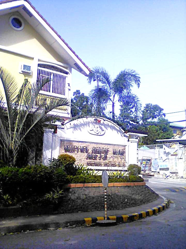 Vacant lot for sale in Valley View Executive Village Ph 3 Cainta, Property, For Sale, Lot on ...