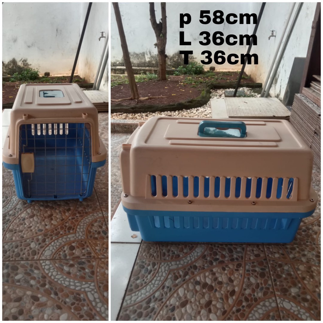 Pet Cargo Ukuran Jumbo, Perlengkapan Hewan, Aksesoris Hewan di Carousell