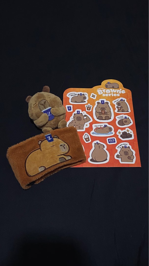 Zus Capybara Set, Hobbies & Toys, Collectibles & Memorabilia, Fan ...