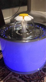 Cat water fountain, Pet Supplies, Health & Grooming on Carousell