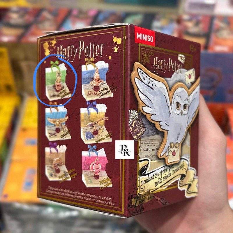 Miniso x Harry Potter Blind Box, Hobbies & Toys, Memorabilia ...