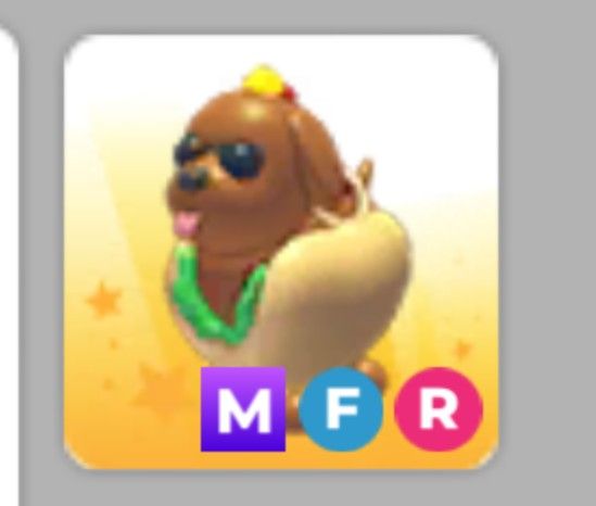Roblox Adopt Me Mega Fly Ride Hot Doggo Adopt Me MFR Hot Doggo, Video Gaming, Video Games ...