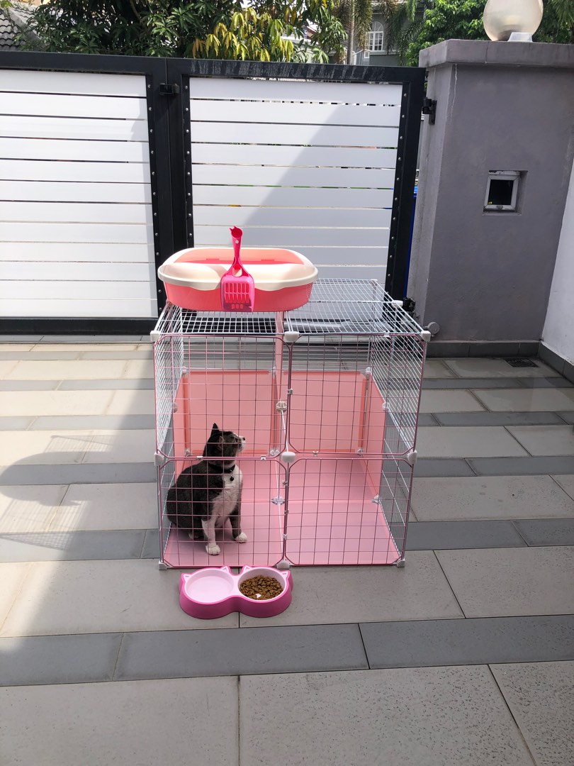 Sangkar Kucing, Pet Supplies, Homes & Other Pet Accessories on Carousell