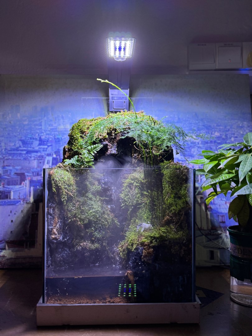 The Waterfall and the Mini Pond #Paludarium #Terrarium #30cm cube ...