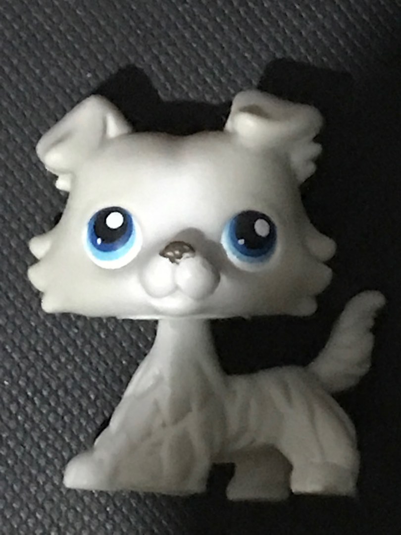 Littlest pet shop (LPS) Collie Authentic #363, Hobbies & Toys, Toys ...