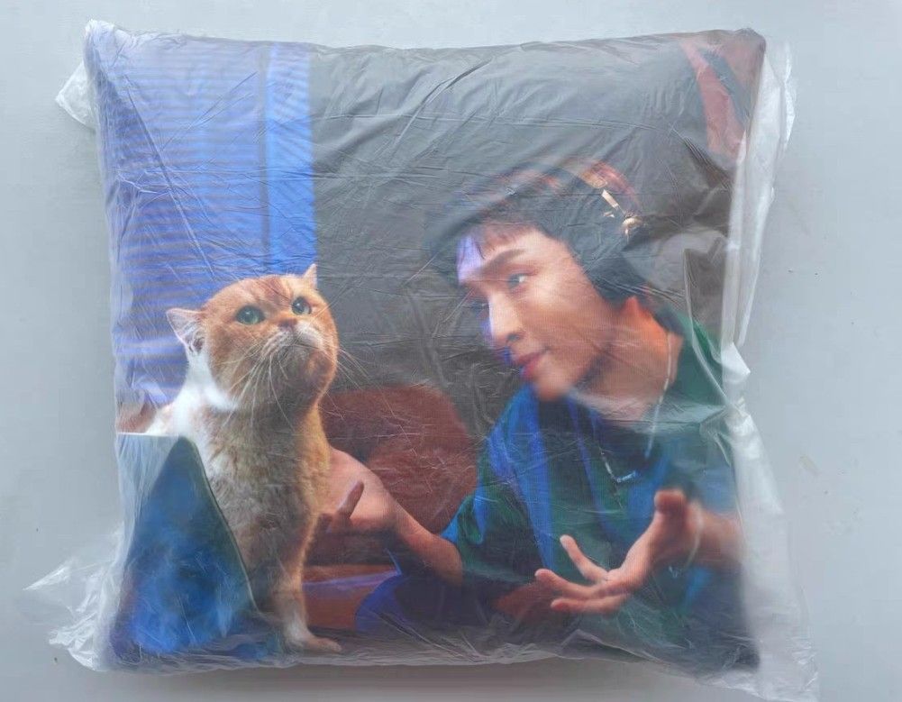 [PO, READ DESCRIPTION] SPRITE X EXO LAY OFFICIAL MD MINI PILLOW B VER ...