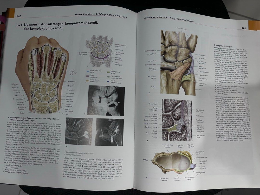 Preloved Buku Prometheus Atlas Anatomi Manusia Edisi 3 (Vol. 1, 2, 3), Buku & Alat Tulis, Buku ...