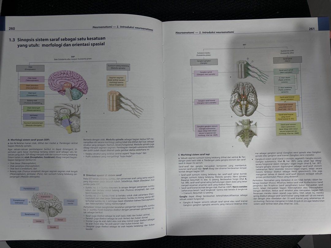 Preloved Buku Prometheus Atlas Anatomi Manusia Edisi 3 (Vol. 1, 2, 3), Buku & Alat Tulis, Buku ...