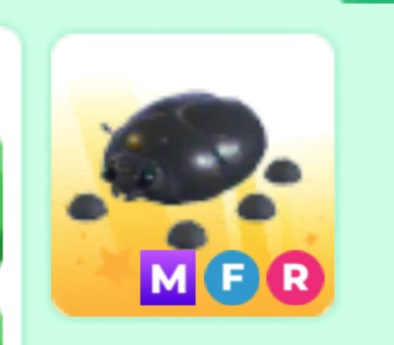 Roblox Adopt Me Mega Fly Ride Giant Black Scarab Adopt Me MFR Giant ...