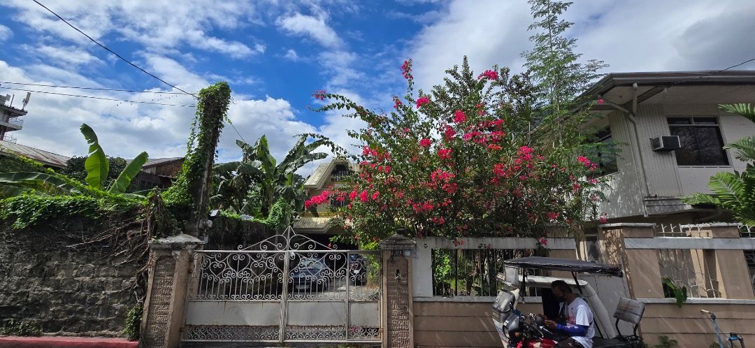 Barangay Batis San Juan Corner House and Lot for Sale near SJ Coliseum ...