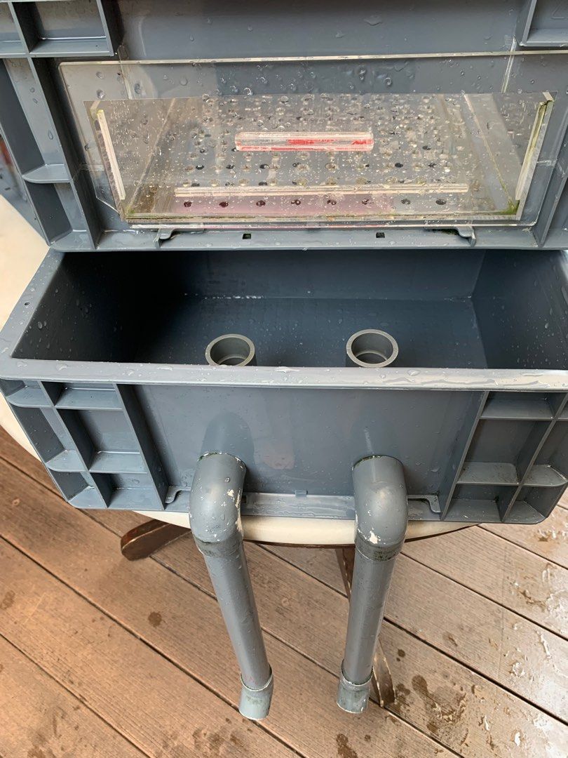 Box external fish filtration system 3 deck overhead sump off., Pet ...