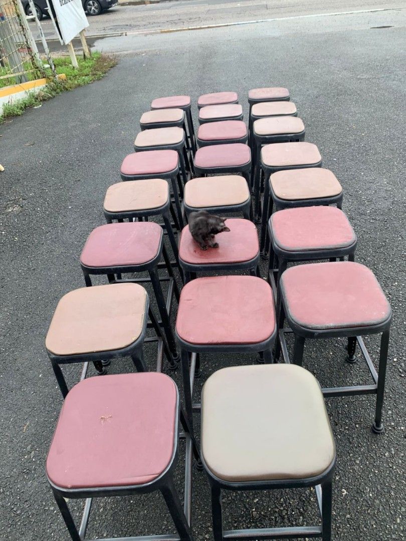 Free pos SM‼️Starbucks stool bar 63cm (Solid steel), Furniture & Home ...