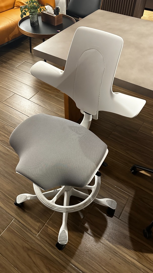 Hag Capisco 8020 ergonomic office chair (Lift 265mm) with Footring, 傢俬 ...