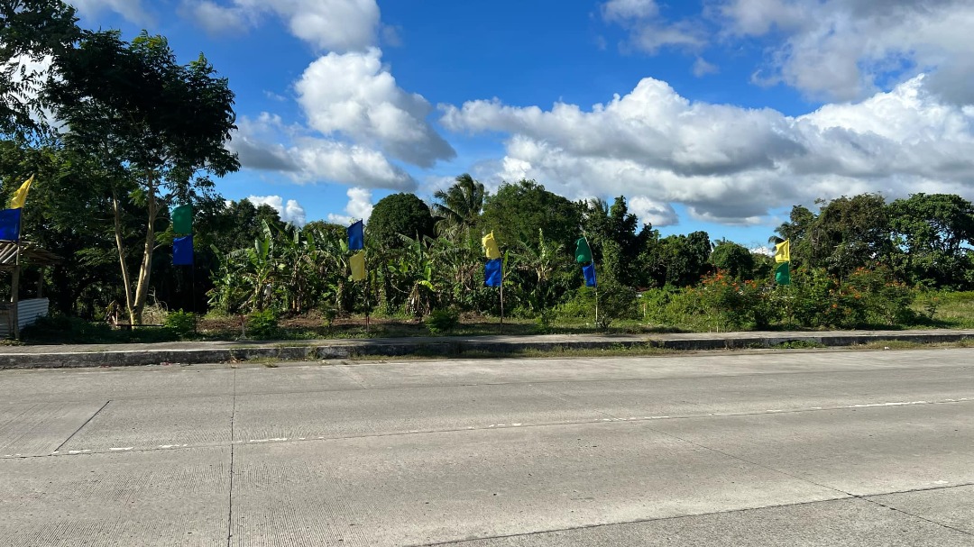 1,000sqm Amadeo Farm Lot for sale near Tagaytay , Property, For Sale ...