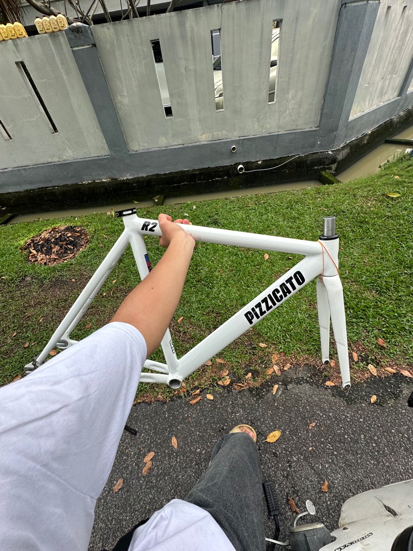 Frameset pizzicato r2, Sports Equipment, Bicycles & Parts, Bicycles on ...