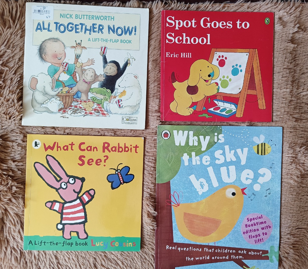 Interactive books : Lift the Flap and Pop-ups, Hobbies & Toys, Books ...