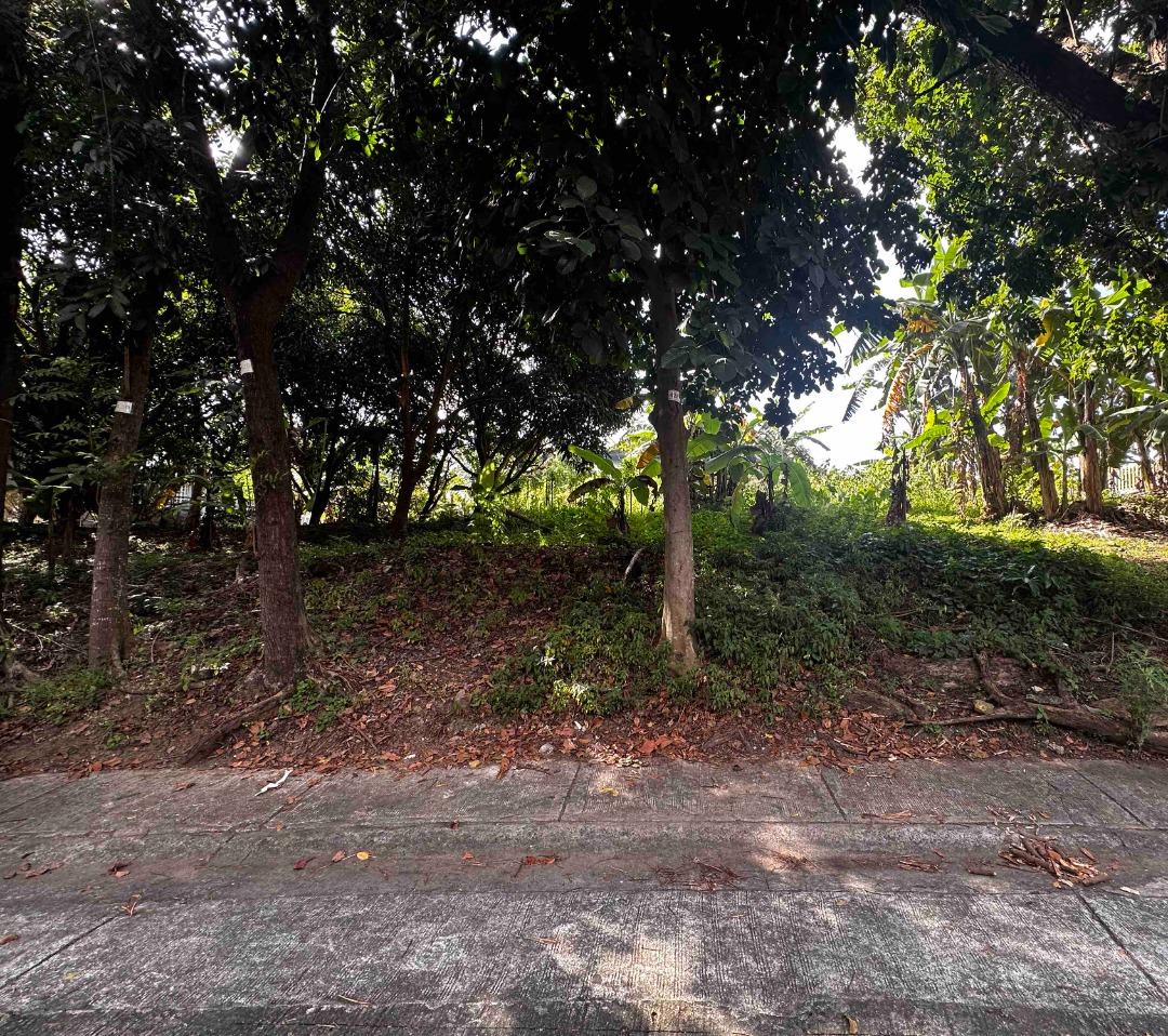 Ayala Heights QC vacant lot 536 sqm East facing not tumbok Not Hillside ...