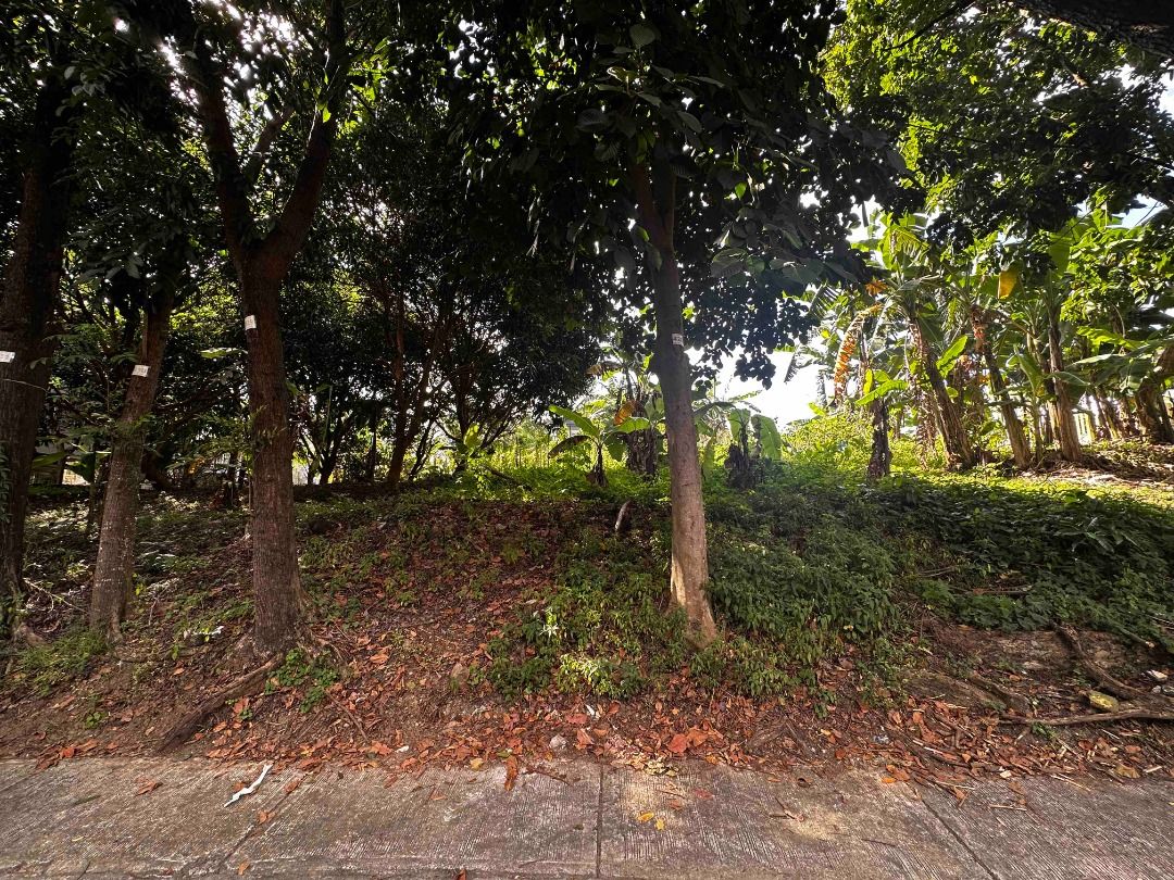 Ayala Heights QC vacant lot 536 sqm East facing not tumbok Not Hillside ...