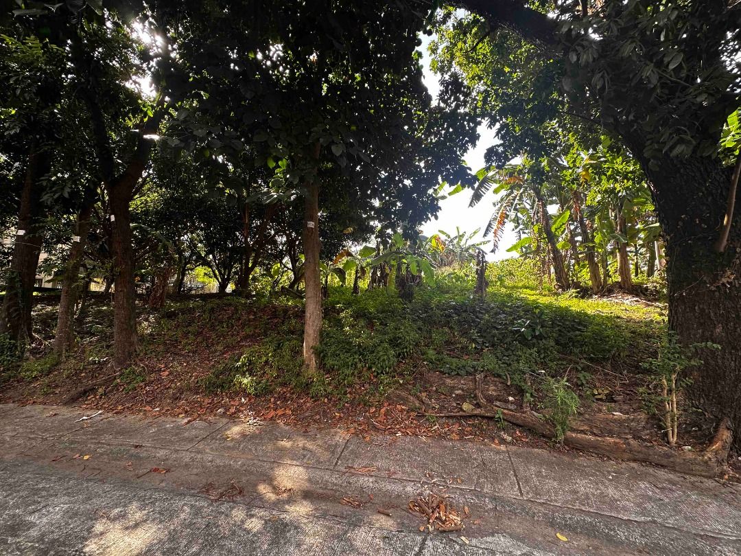 Ayala Heights QC vacant lot 536 sqm East facing not tumbok Not Hillside ...