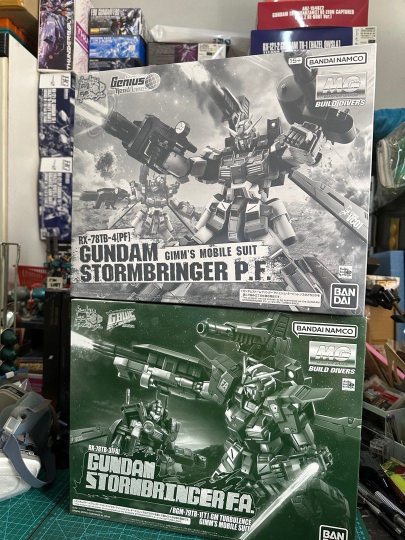 BANDAI MG 1/100 Gundam Stormbringer P.F. PREMIUM BANDAI Model Kit ...