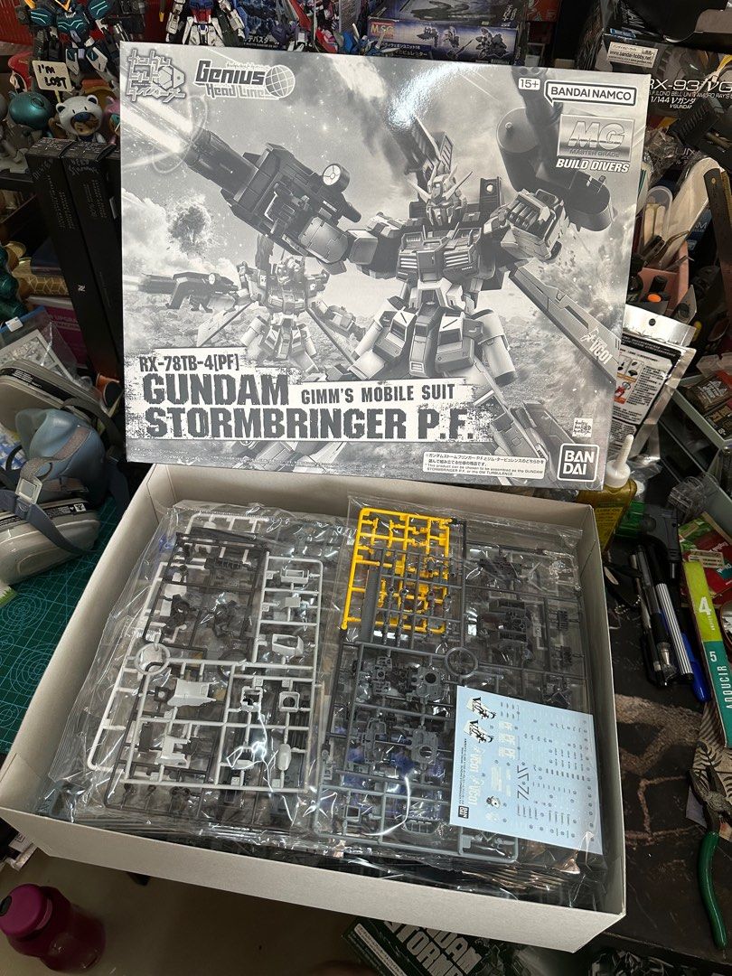 BANDAI MG 1/100 Gundam Stormbringer P.F. PREMIUM BANDAI Model Kit ...