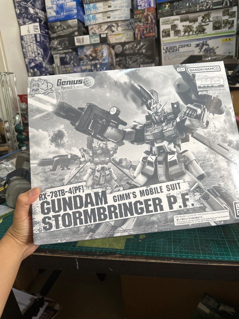 BANDAI MG 1/100 Gundam Stormbringer P.F. PREMIUM BANDAI Model Kit ...