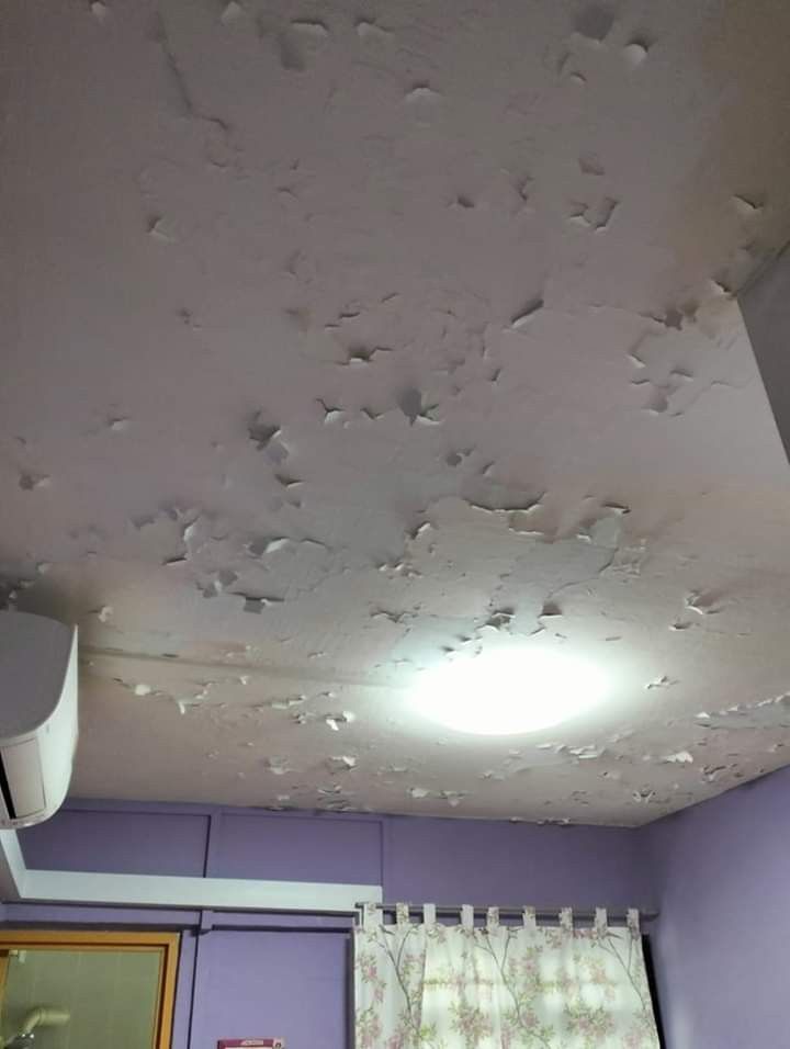 House painting, HDB painting, Condo painting, shop painting, office ...