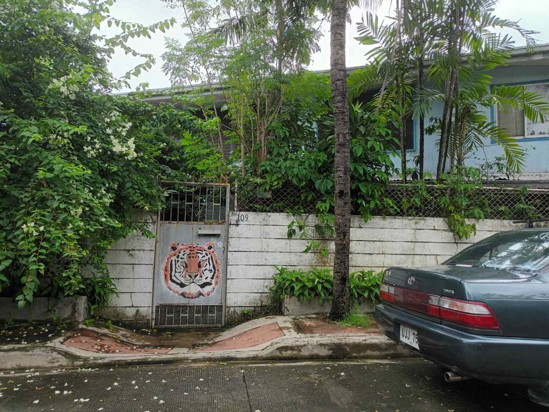 Triangle-Shaped Lot w/ Annex, 346 sqm, 40m frontage- East Kamias ...