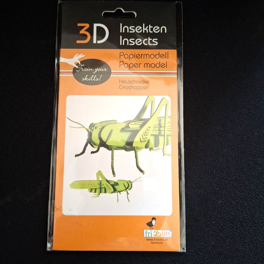 3D Paper Model - Grasshopper, Hobbies & Toys, Toys & Games on Carousell