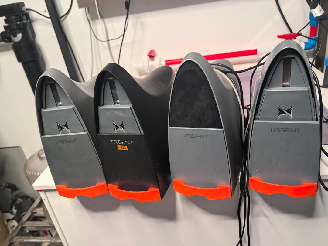 Apex Neptune Trident & Trident NP, Pet Supplies, Homes & Other Pet ...