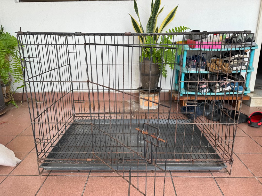 Big Size - Dog Cage, Pet Supplies, Homes & Other Pet Accessories on ...